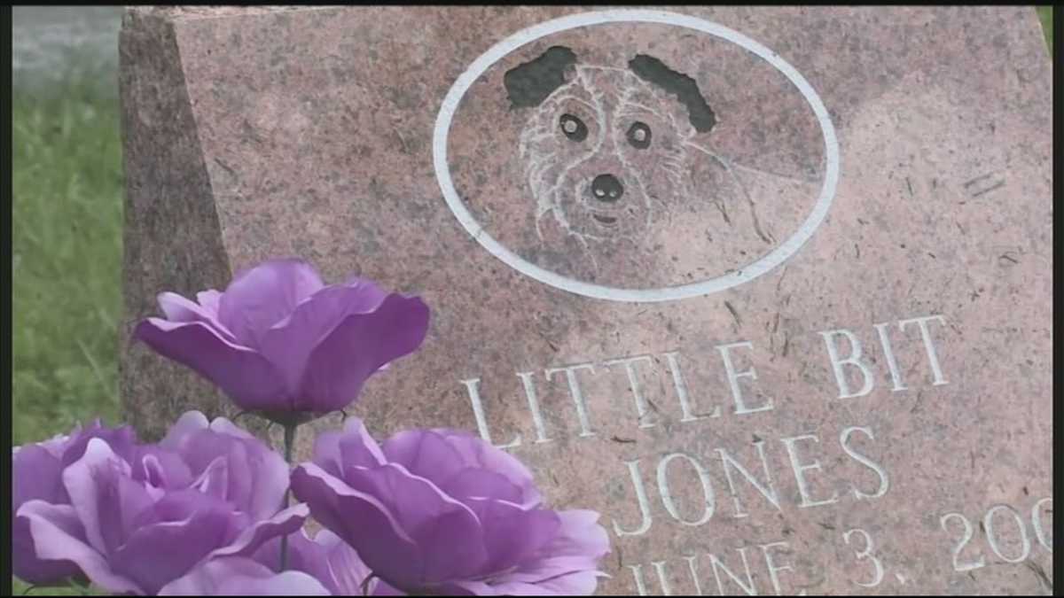Pet funerals on the rise