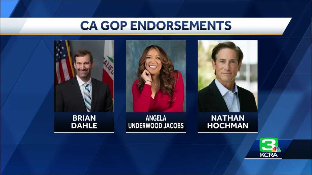 CA GOP endorses Sen. Brian Dahle for governor, other candidates