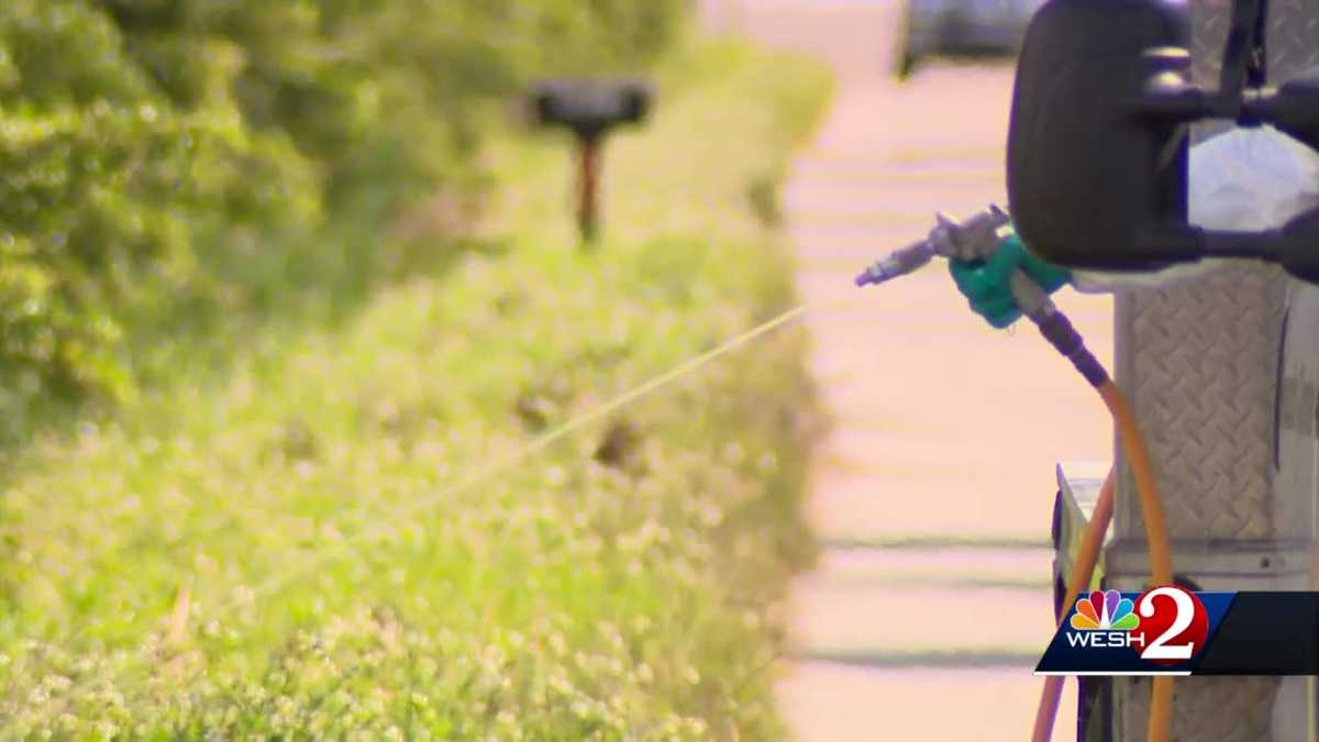Mosquitoes causing mayhem in Central Florida after floods