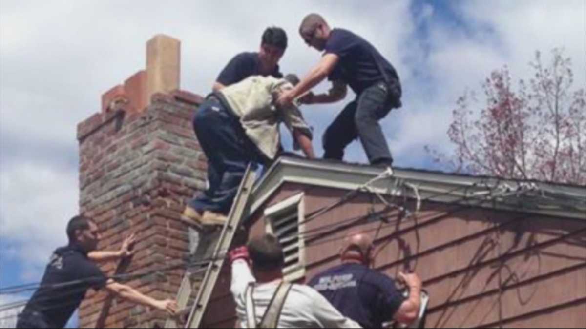 Man falls from ladder, gets tangled in live power lines