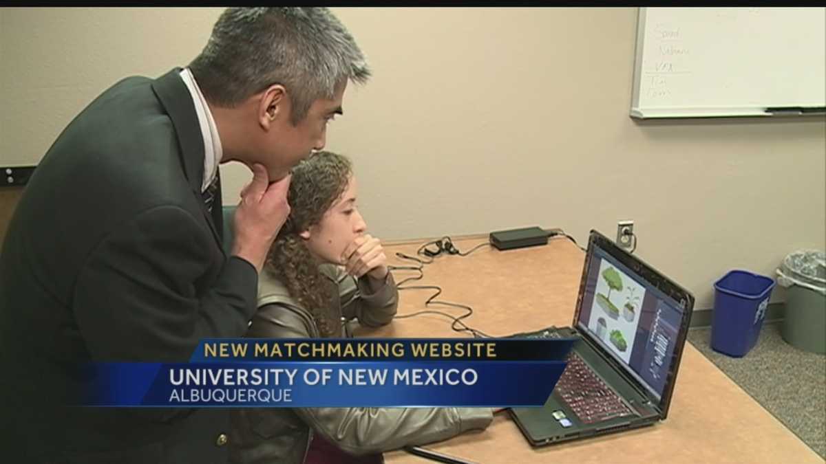 UNM Job Match System