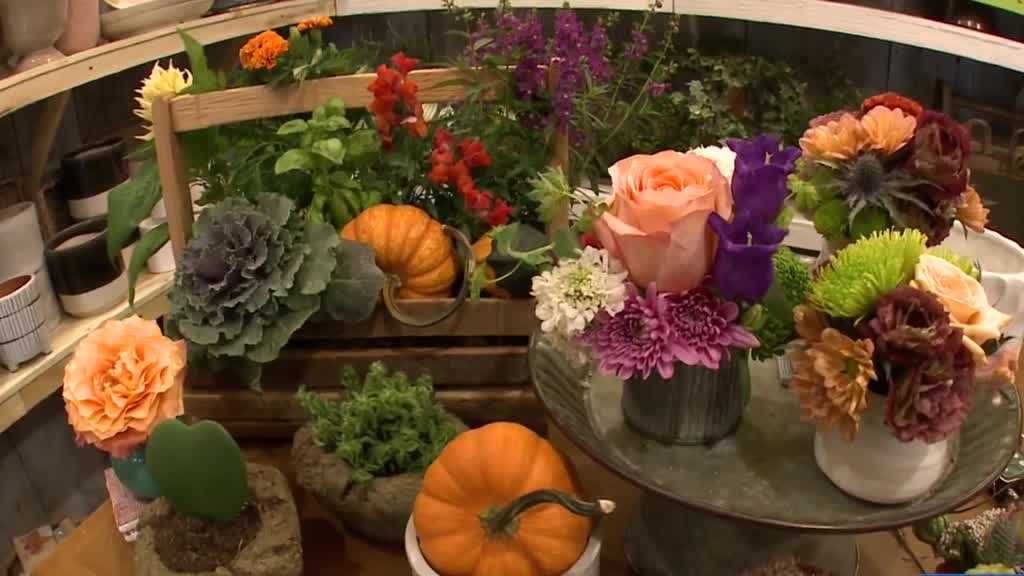St. Matthews garden center celebrates year in business with deals ...