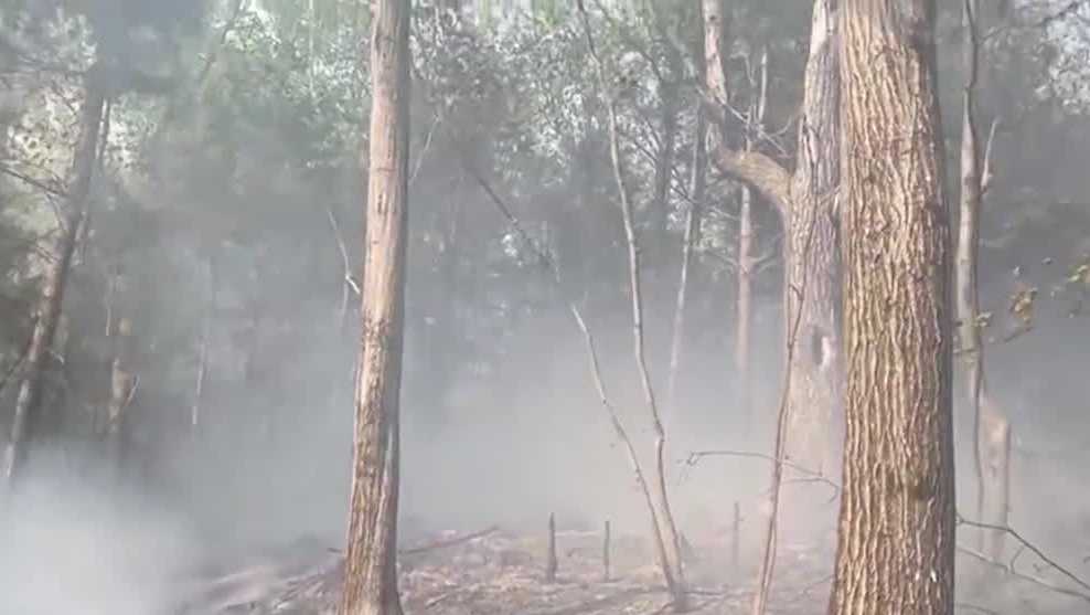 Wildfire risk increases in New Hampshire despite recent wet weather