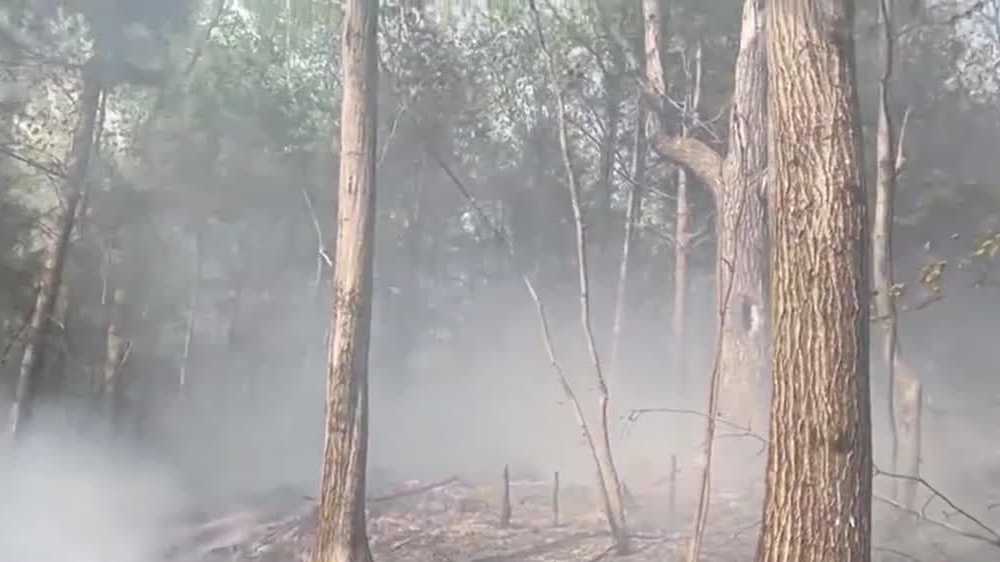 Despite recent wet weather, NH officials warn of wildfire danger