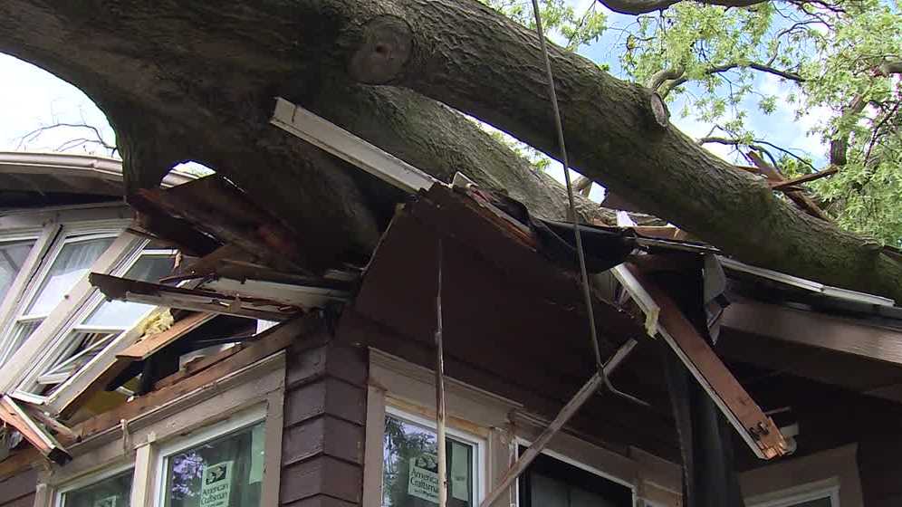 Tree crushes Kansas City woman's home during storm