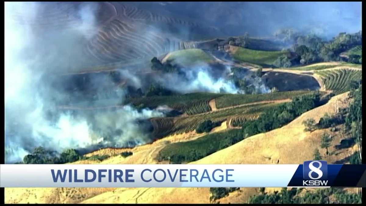 Kincade wildfire threatens grape harvest for Sonoma County vineyards ...