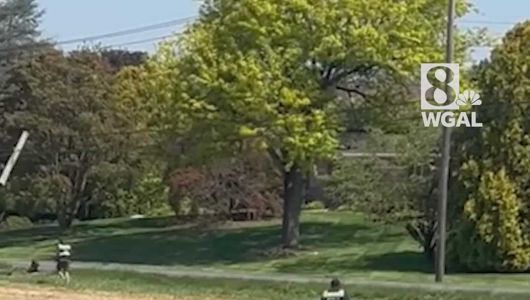 Car goes off road, hits pole, ends up in field | Lancaster County, Pa.
