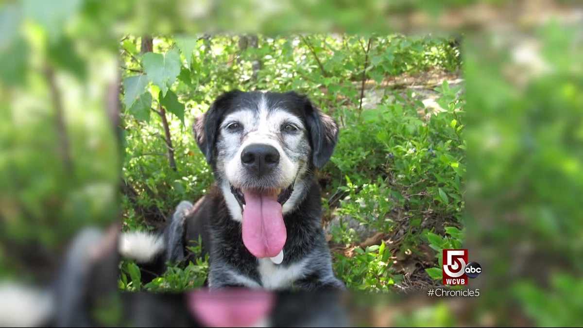 Good Reads: Rescuing Penny Jane