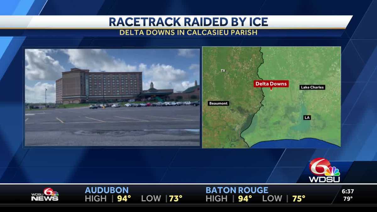 Louisiana racetrack raided by ICE, 84 arrested