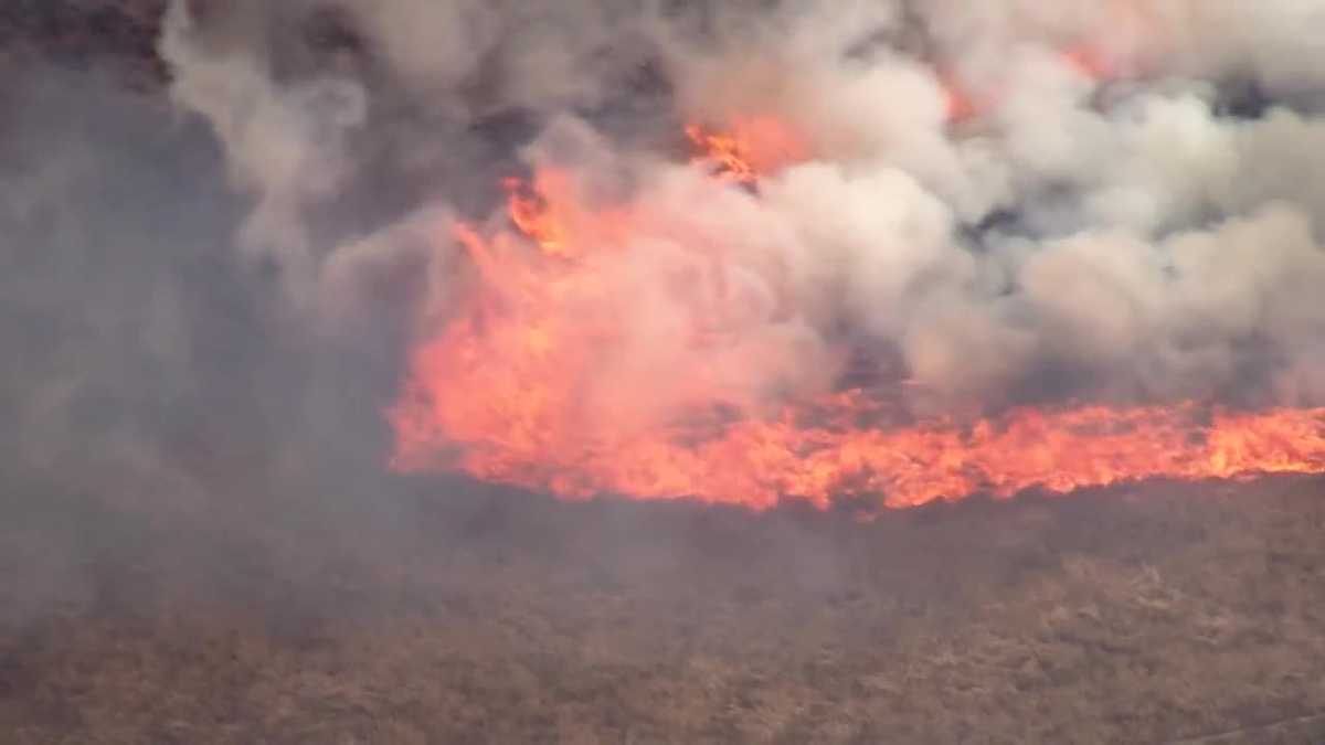 Wind-driven grass fire burns 5,000+ acres in Sacramento County