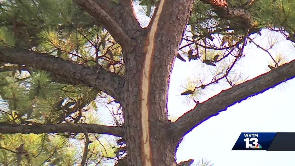 Alabaster family describes damaging lightning strike