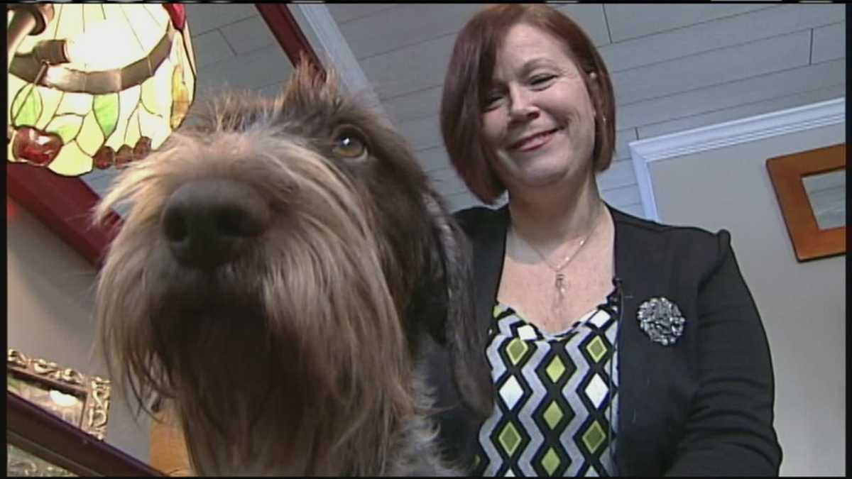 Sookie the Dog preps for Westminster Dog show in NYC