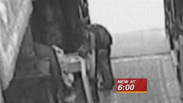 DONATION JAR RIPPED OFF