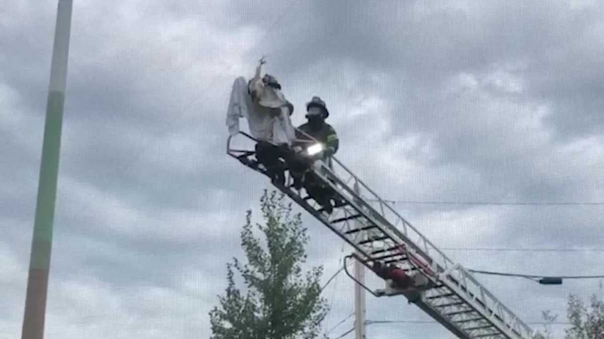 Watch: Firefighters rescue hawk from golf course netting