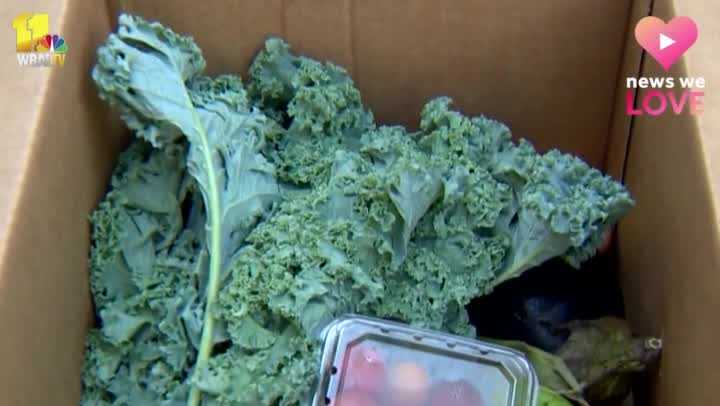 1.7M food boxes distributed during pandemic in Baltimore