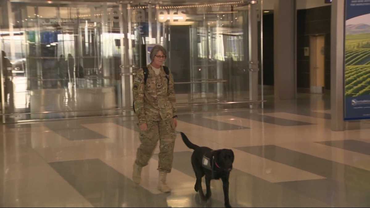 NorCal Army chaplain, ministry dog return from Afghanistan