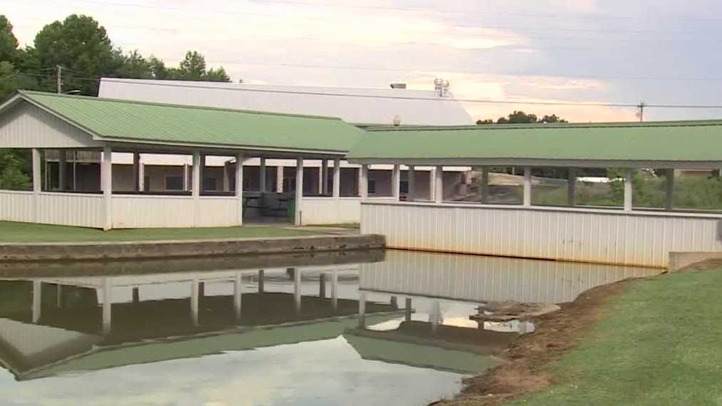 Muskrat mating season causing major issues at Holly Pond park