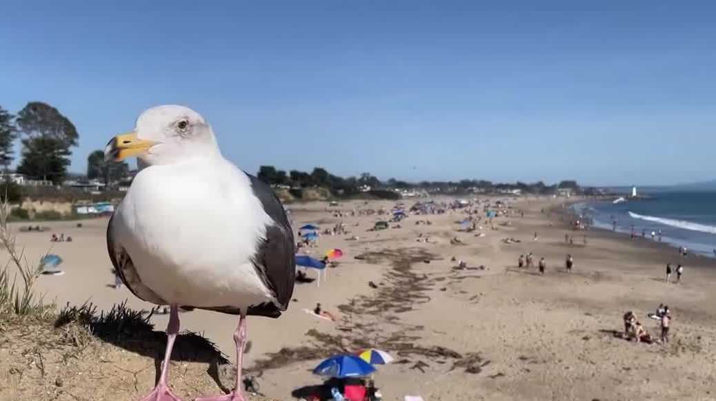 Warm weather draws crowds to Central Coast beaches and parks