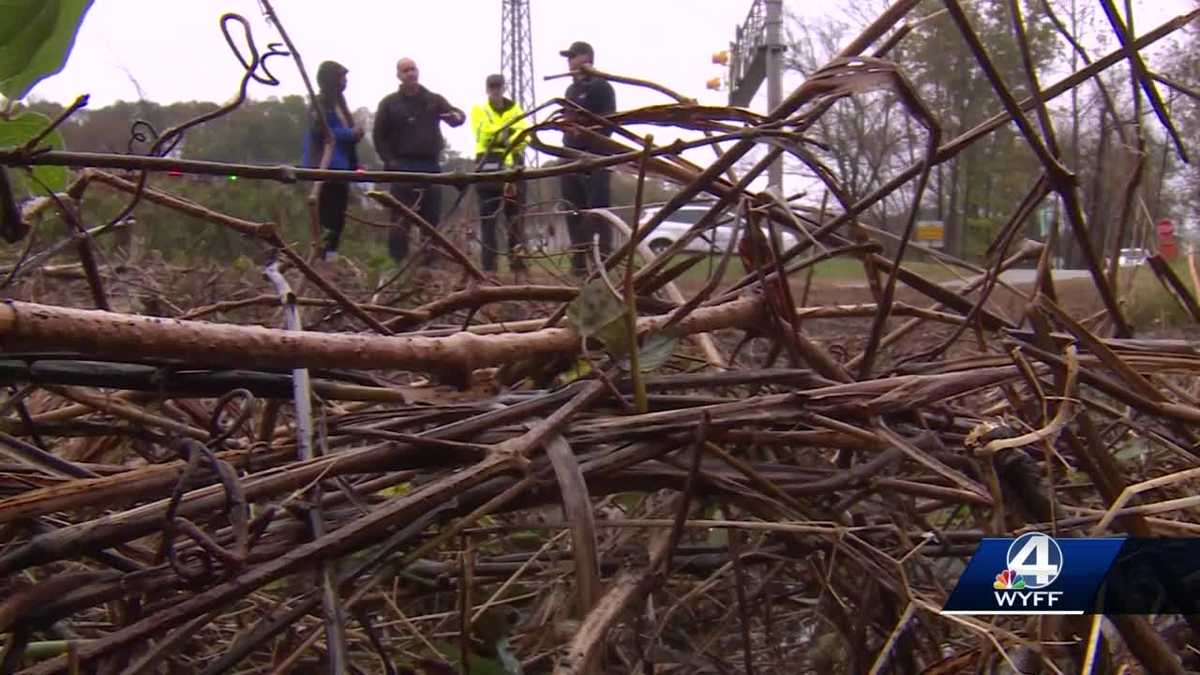 Two rescued from rising floodwater along Swamp Rabbit Trail ...
