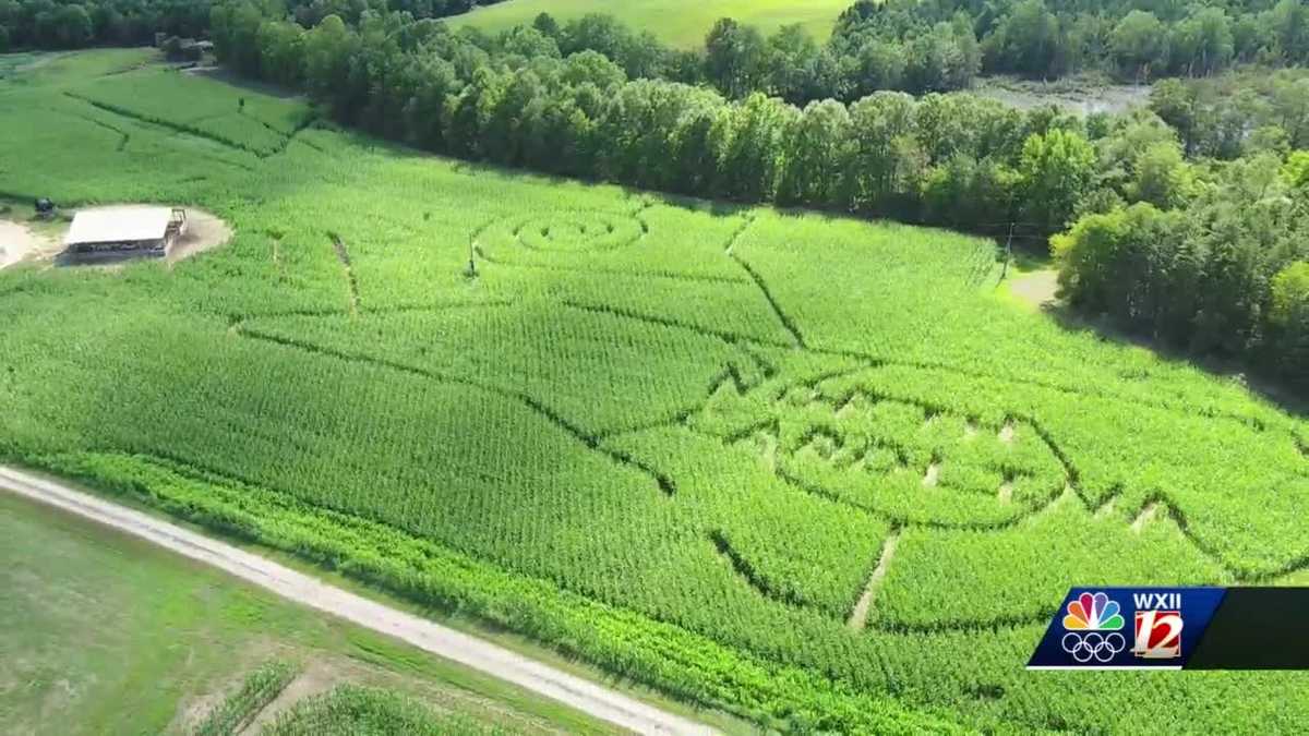 Stokes County corn maze designed to look like North Carolina