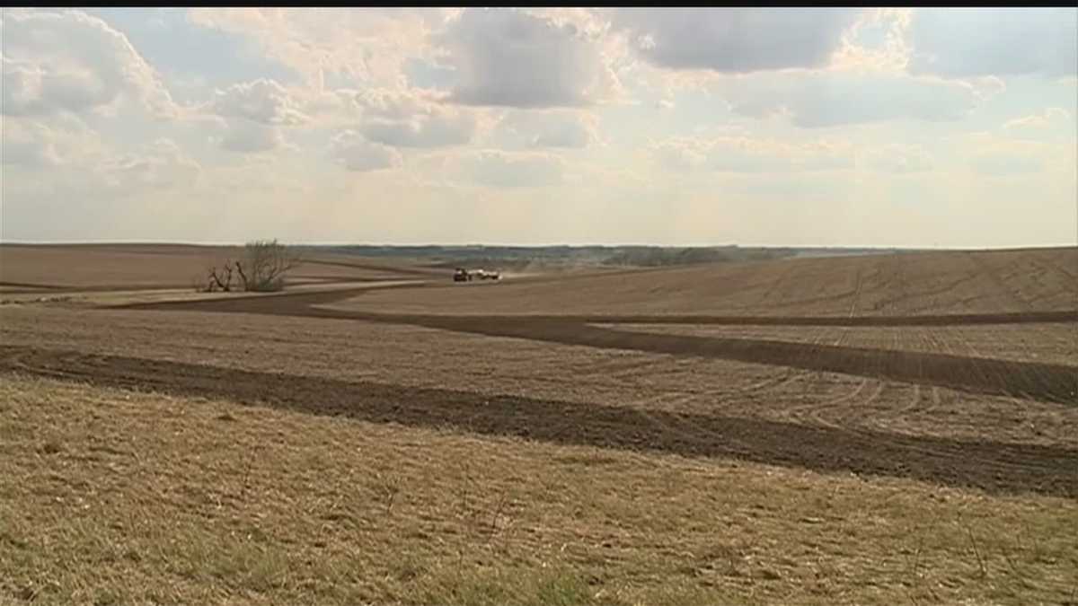 Farmers question what to do with damaged crops