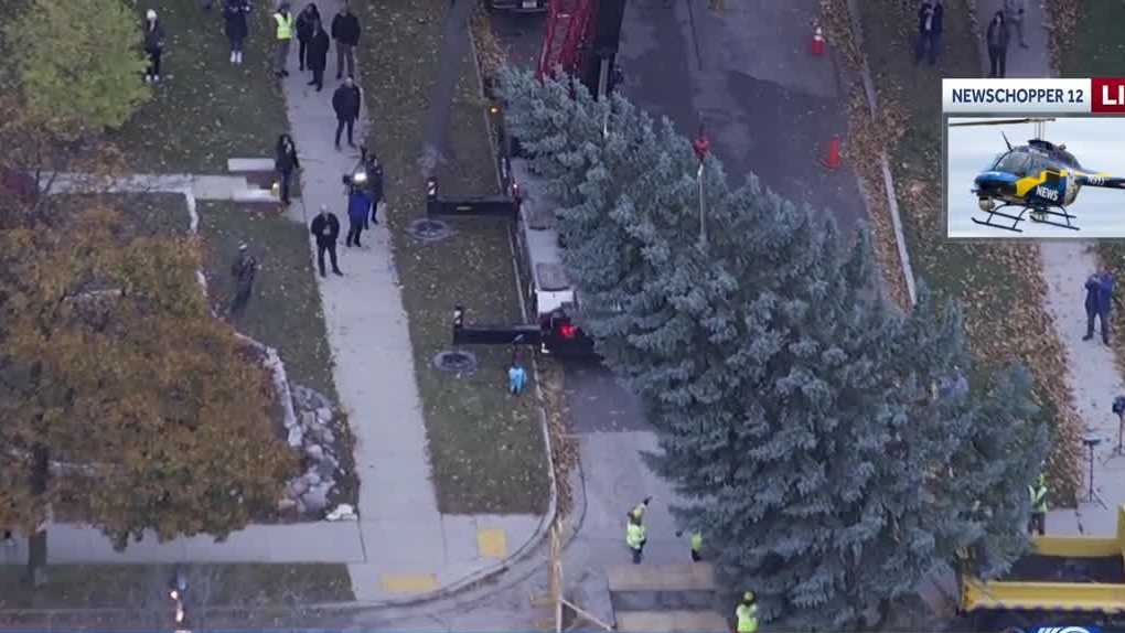 2024 Milwaukee Christmas Tree heads to the Deer District