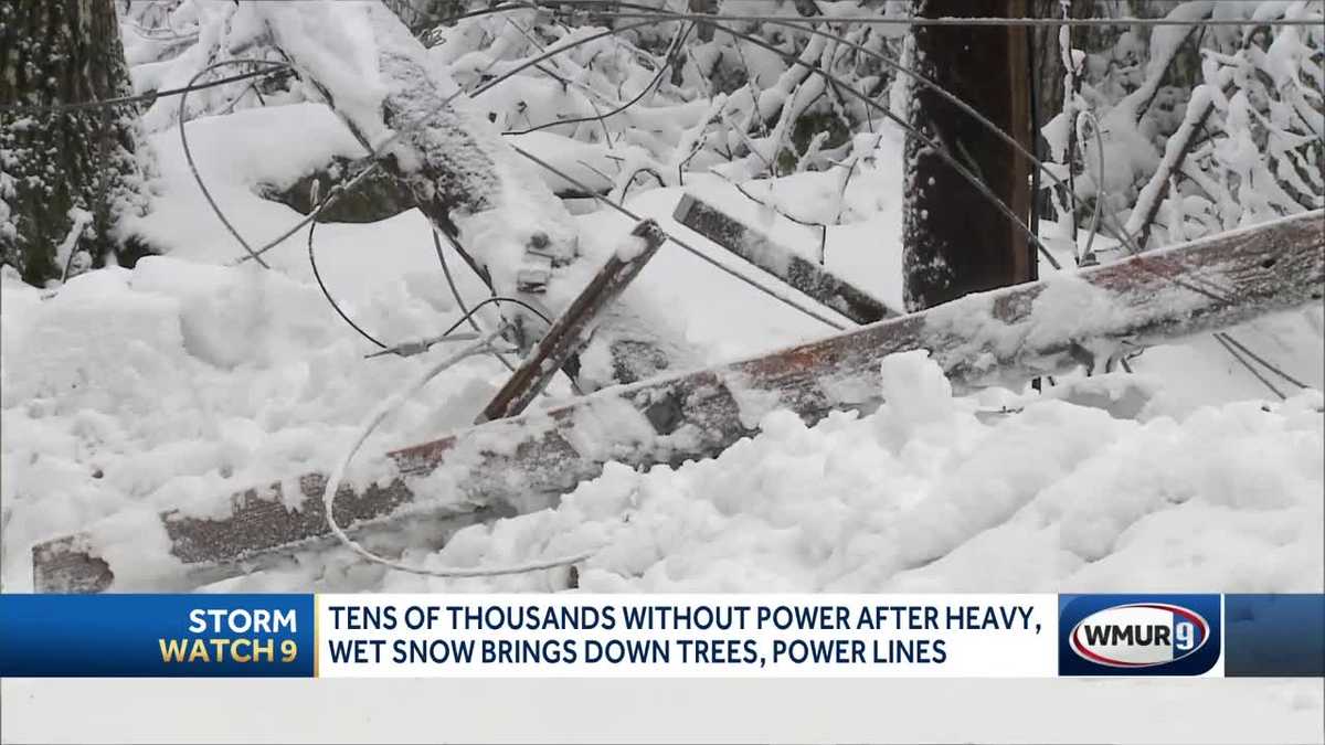 Snow brings down trees, power lines