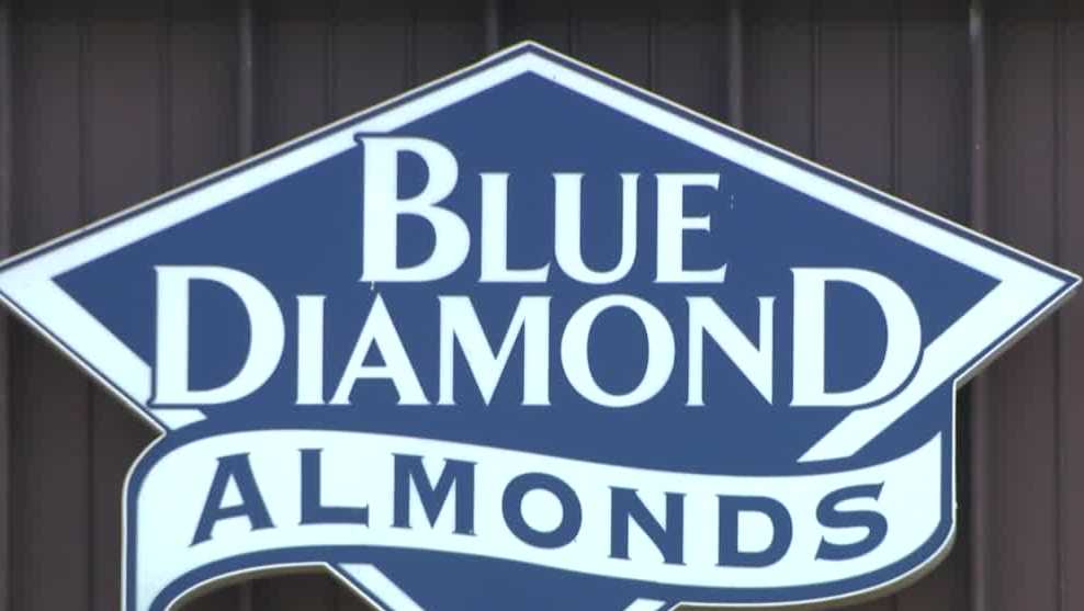 Blue Diamond presents timeline of Sacramento factory layoffs before ...