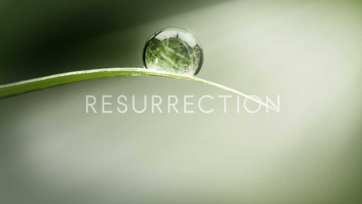 ABC Preview: Resurrection