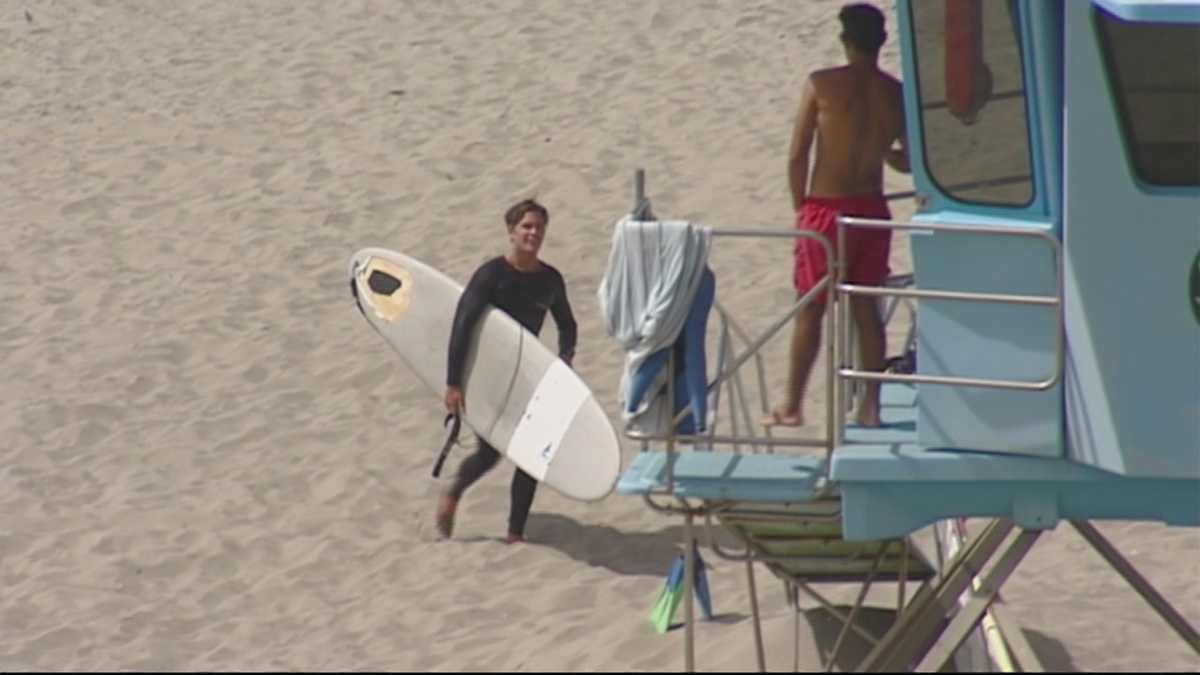 Many great white sharks hanging out at Manresa State Beach