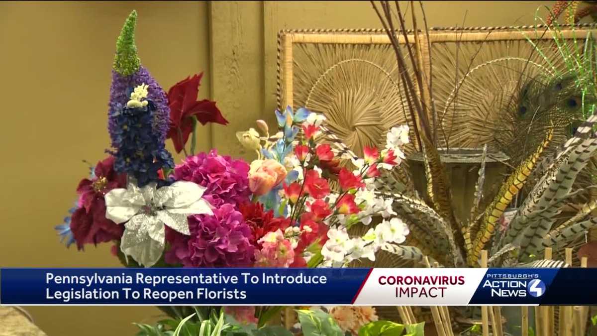 Pennsylvania lawmaker plants seeds to hopefully reopen florists across ...