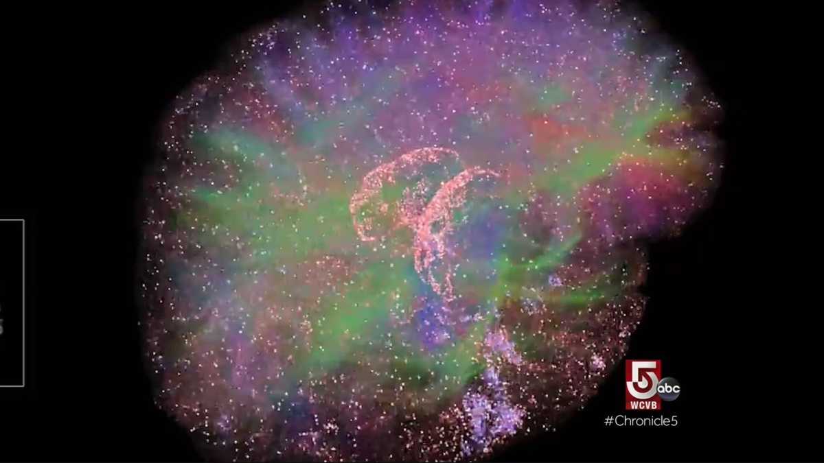 From Science Fiction to Fact: Erasing Memories