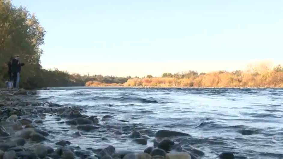 Conservation scientists are worried for the fate of NorCal's winter run ...