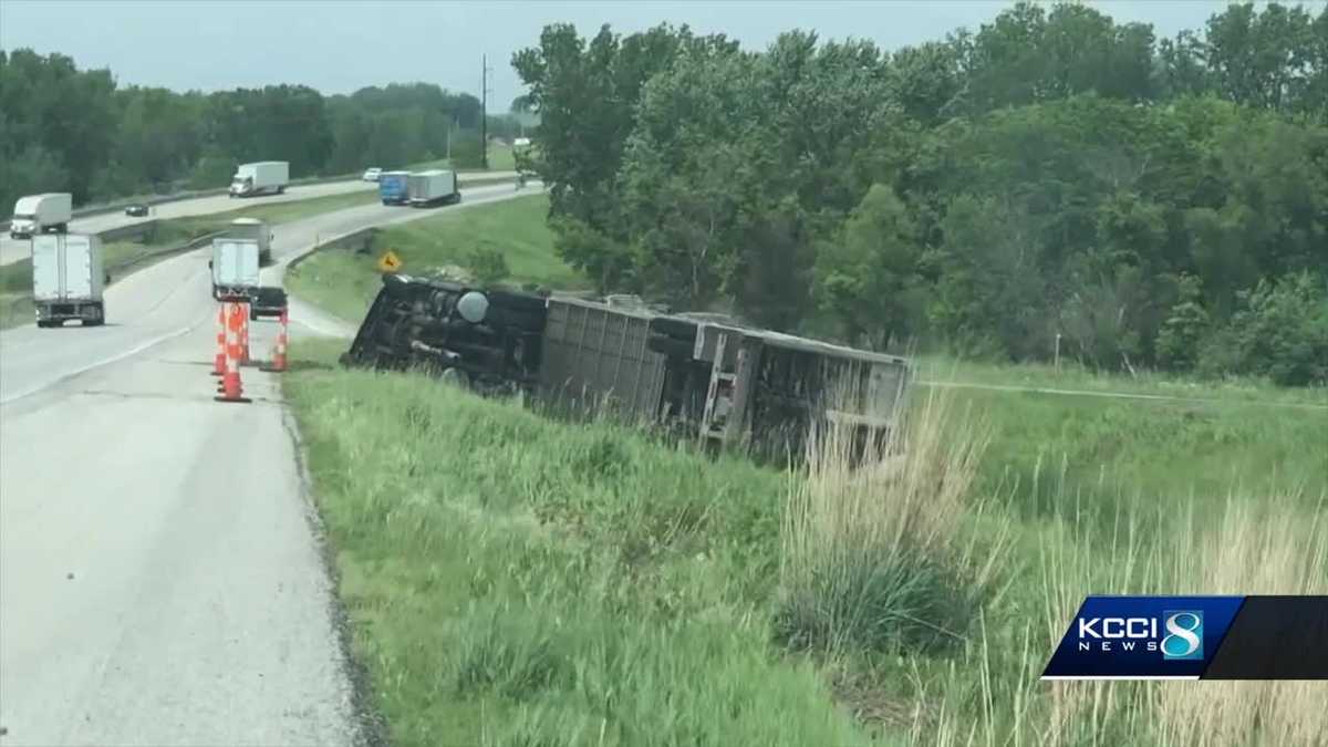 Patrol: Cattle run loose near I-80 after crash
