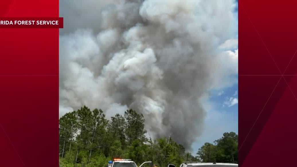 Brush fire forces Amtrak to close tracks in Florida, cancel trips