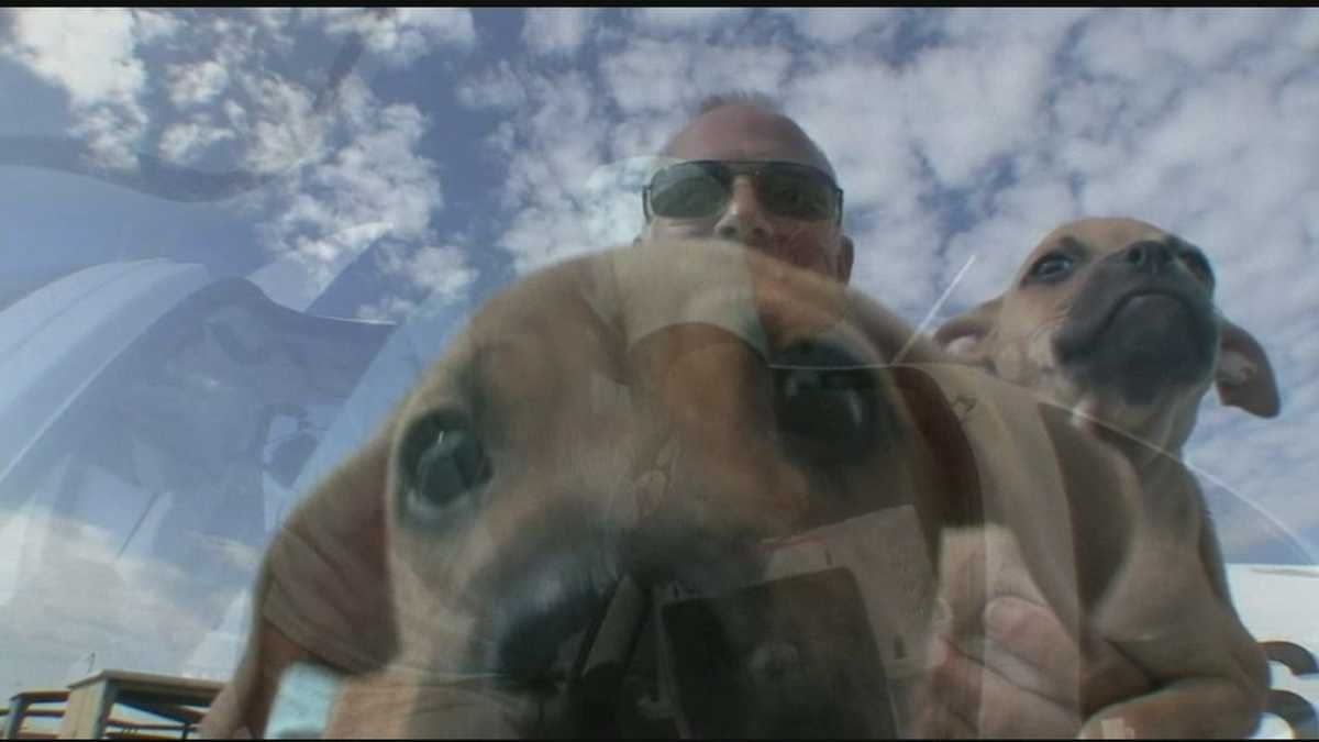 Pilots and Paws to the rescue