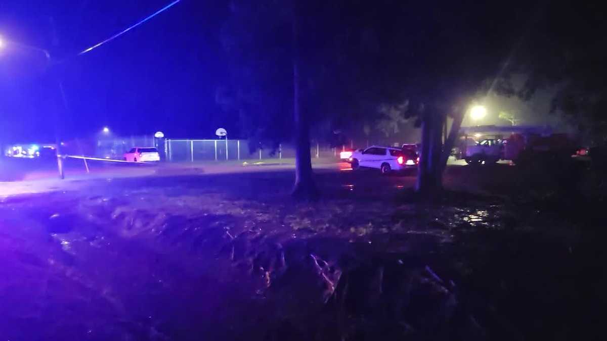 Georgia: Man, 9-year-old daughter found dead at recreation park - WJCL