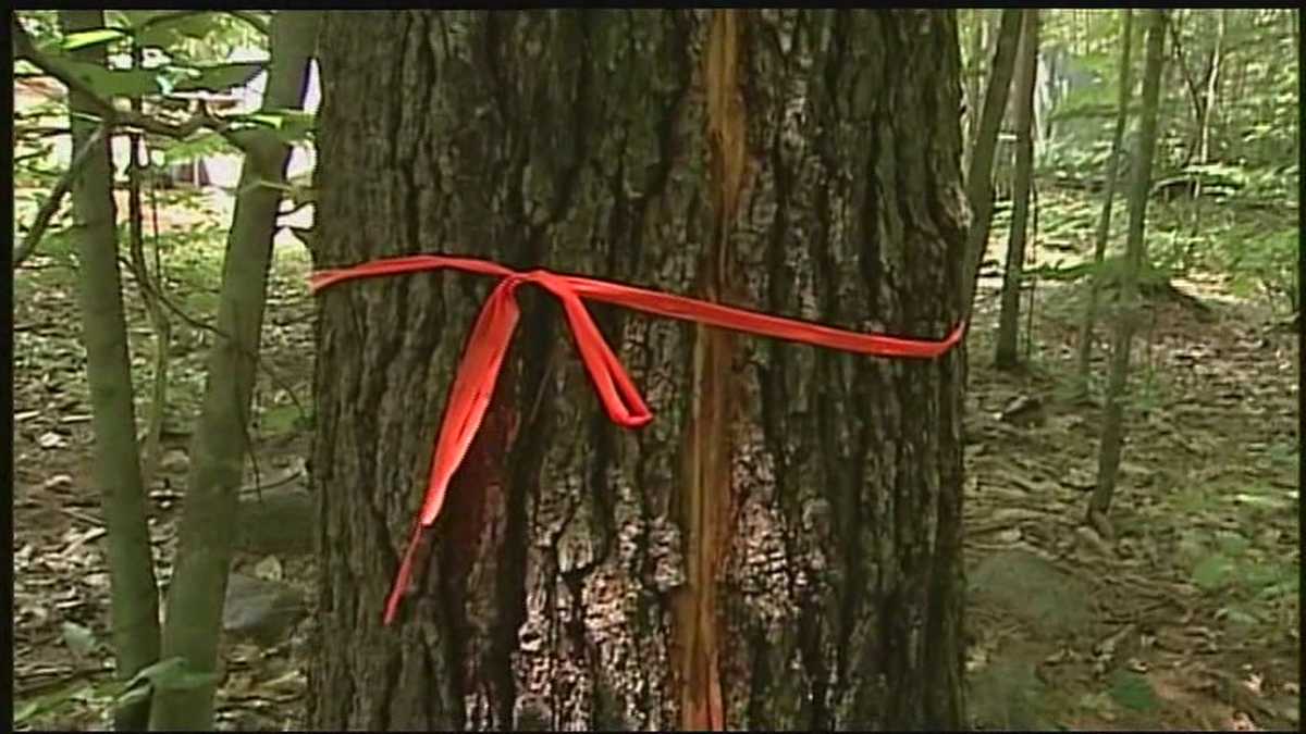 Most Boy Scouts hurt in lightning strike out of hospital