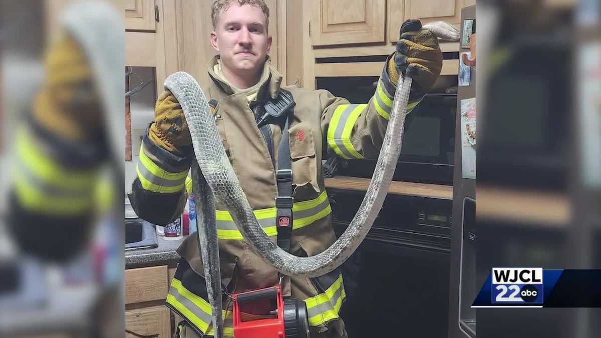 Georgia: Fire crews say massive snake to blame for fire at home