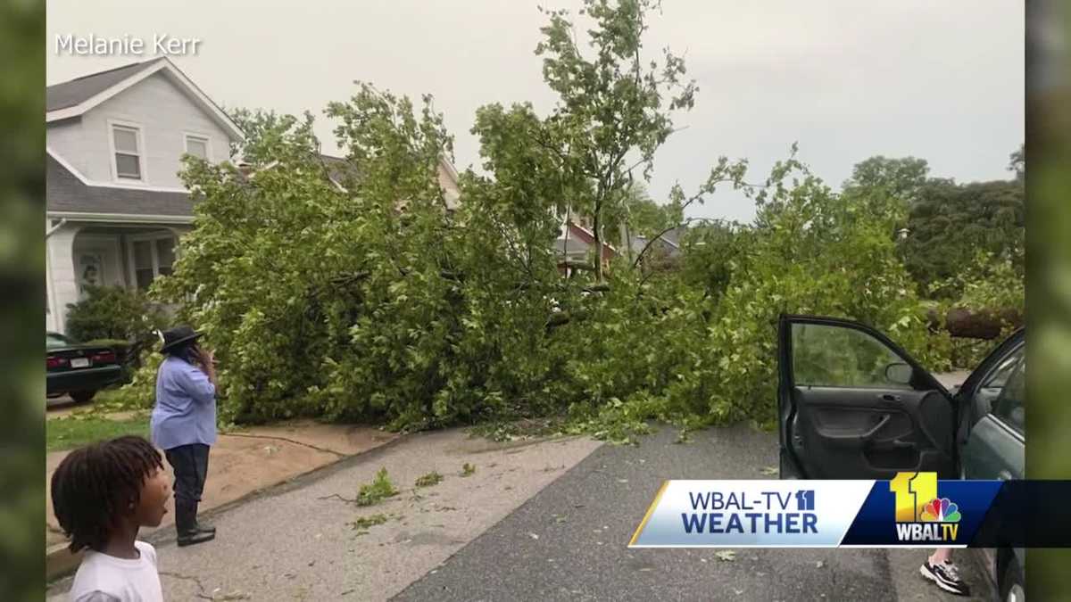 Cleanup continues, costs rise in northeast Baltimore after storm