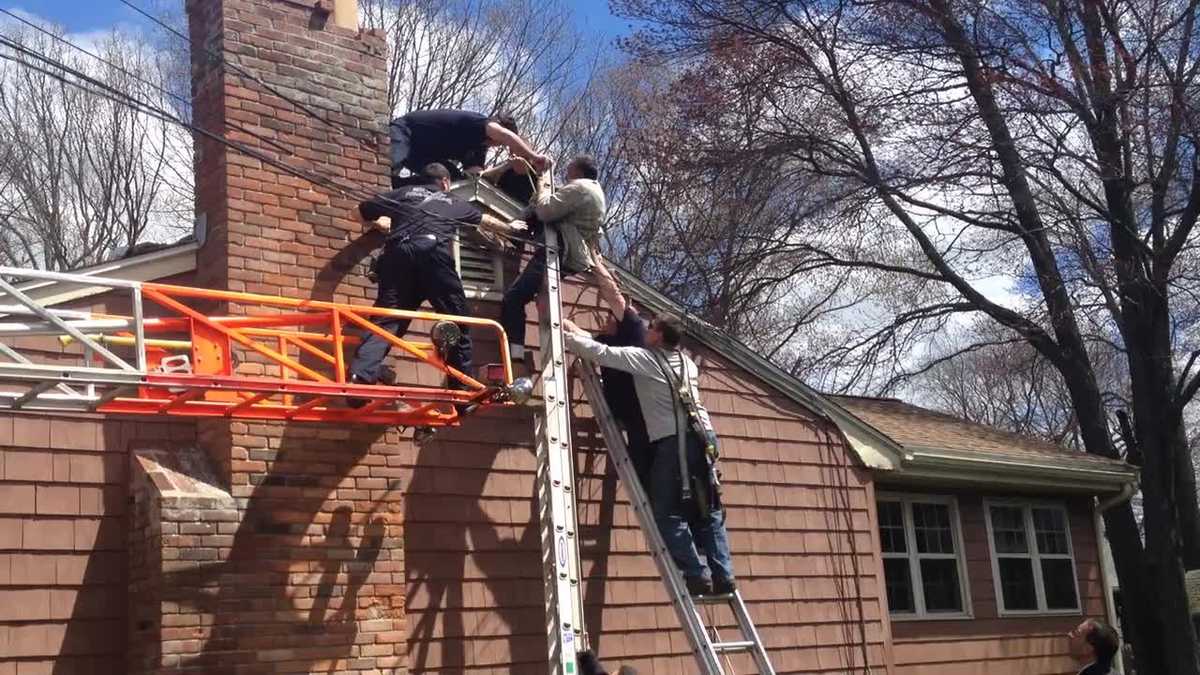 Man falls from ladder, gets entangled in power line