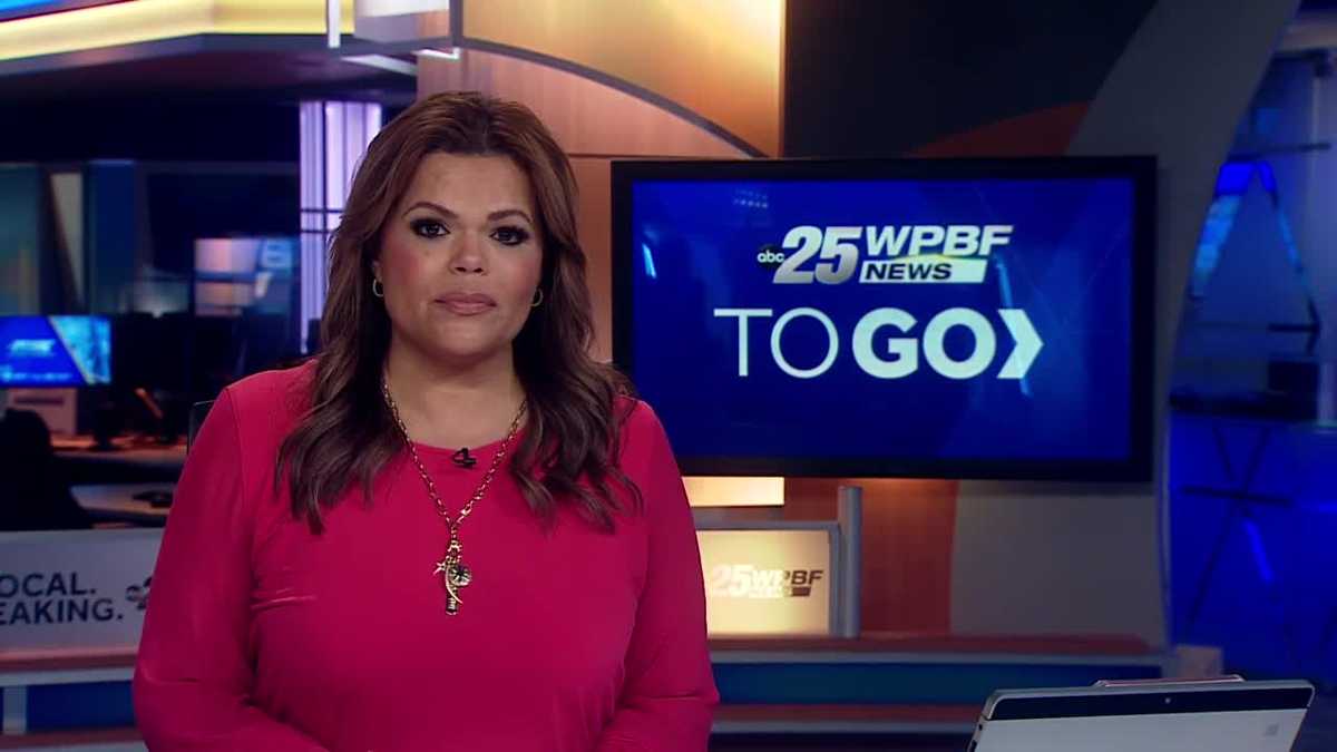 WPBF 25 News to Go- FL House passes elections bill