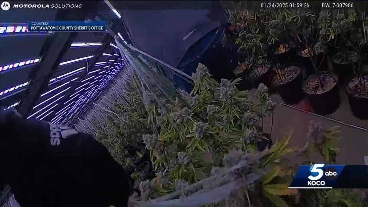 Video released of marijuana grow facility robbery suspects arrested