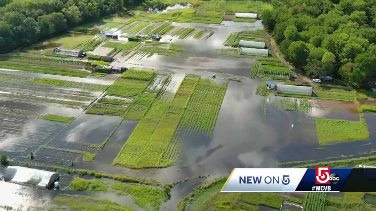 Floods devastate World Farmers organization