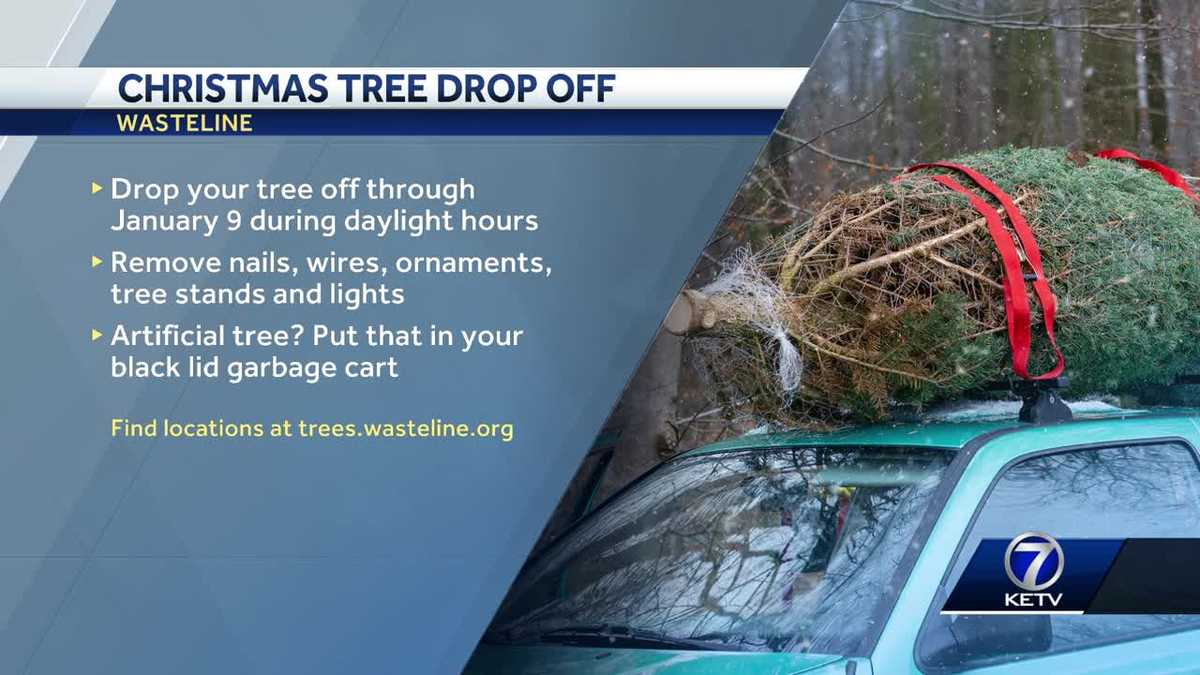 When and where to drop off your live Christmas Tree