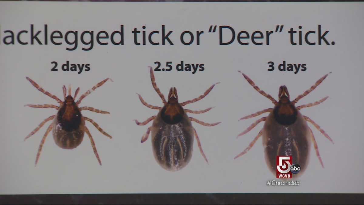 Tell Ticks Off