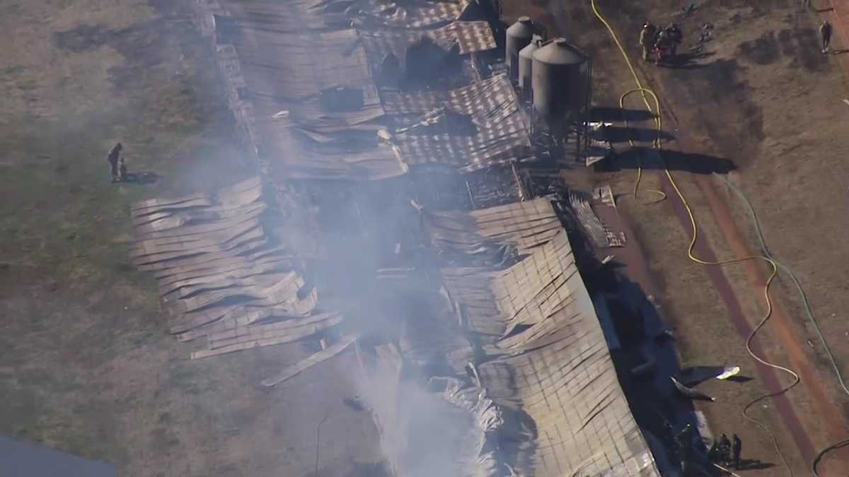 Chicken house burns on South Carolina farm