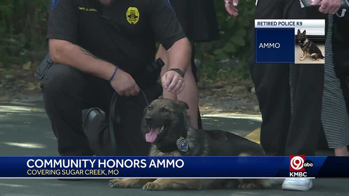 Kansas City crime: Sugar Creek bids farewell to retired police K-9 Kansas City crime: Sugar Creek bids farewell to retired police K-9