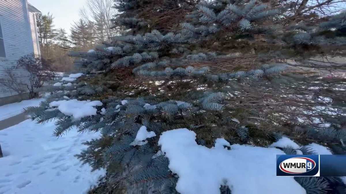 Grow It Green: Designing landscapes for wildlife