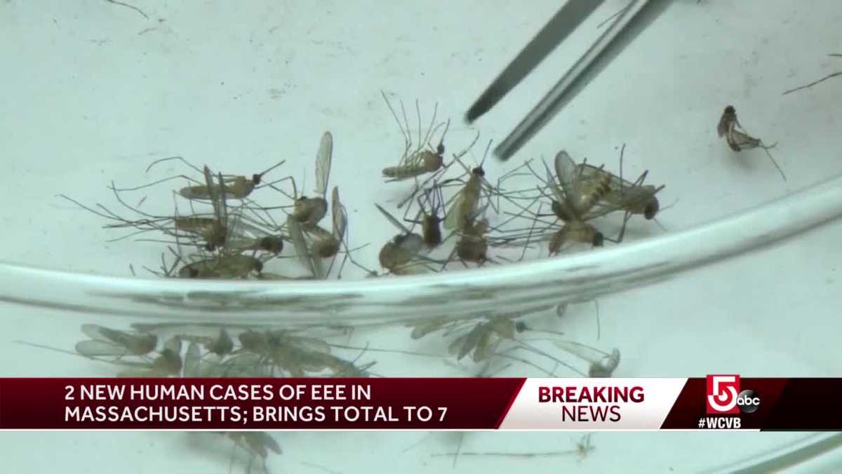 2 new human cases of EEE confirmed in Mass.